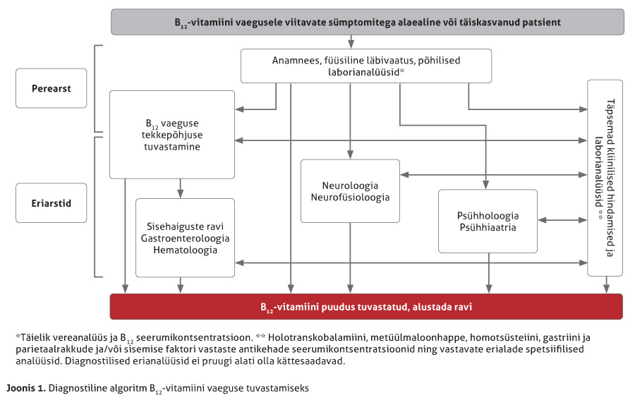 Ekspertide konsensus B12-vitamiini vaeguse diagnoosimisest, ravist ja ...